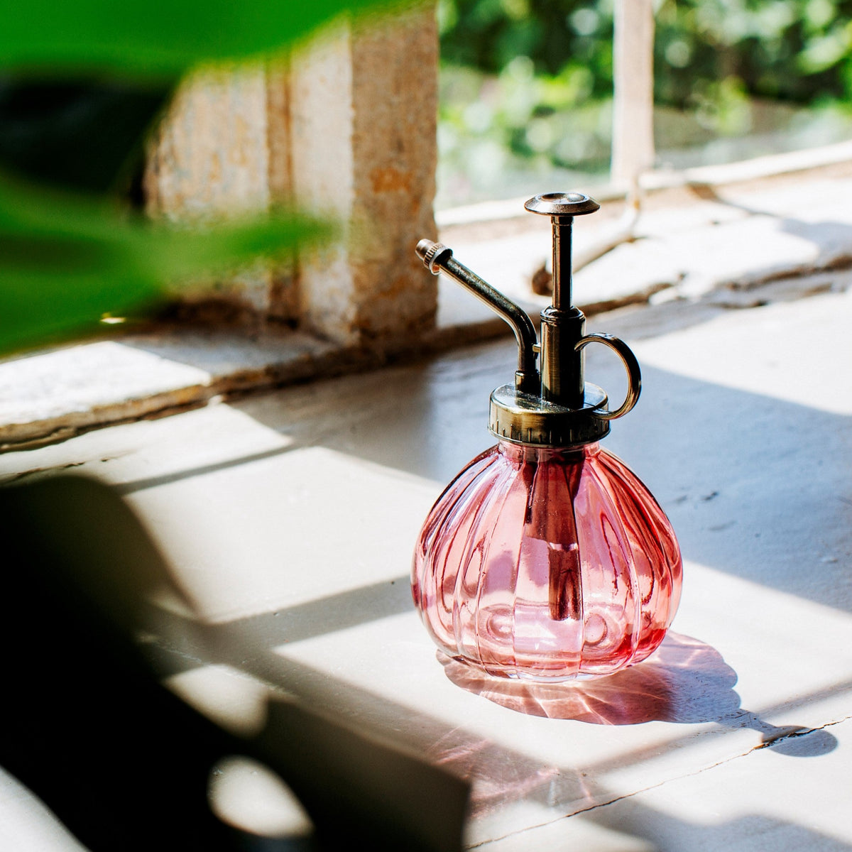 Plant Mister- Various Colours